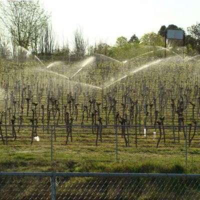 Overhead Frost Control Sprinklers - Irrigation Direct